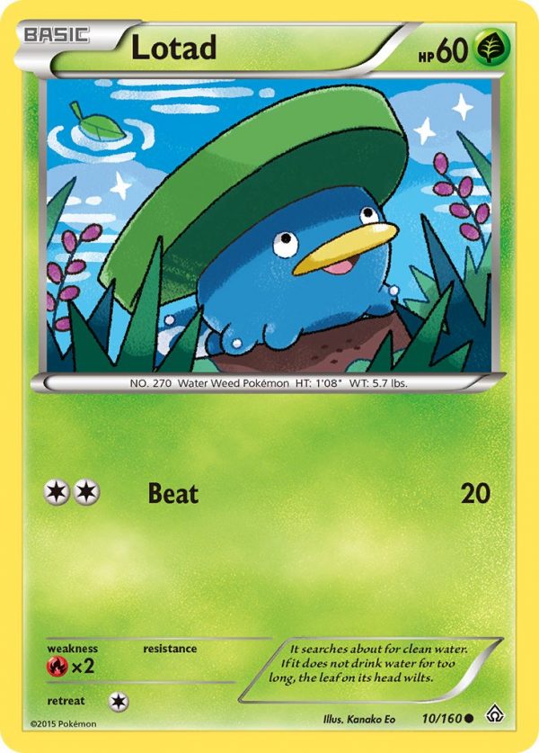 Lotad 10/160 - Wert, Bild & Seltenheit | Pokemonkarte.de